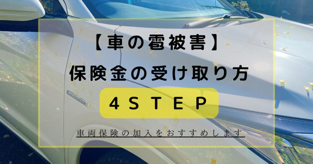 【車の雹被害】修理をせず保険金を受け取る方法解説 まっつんらいふ